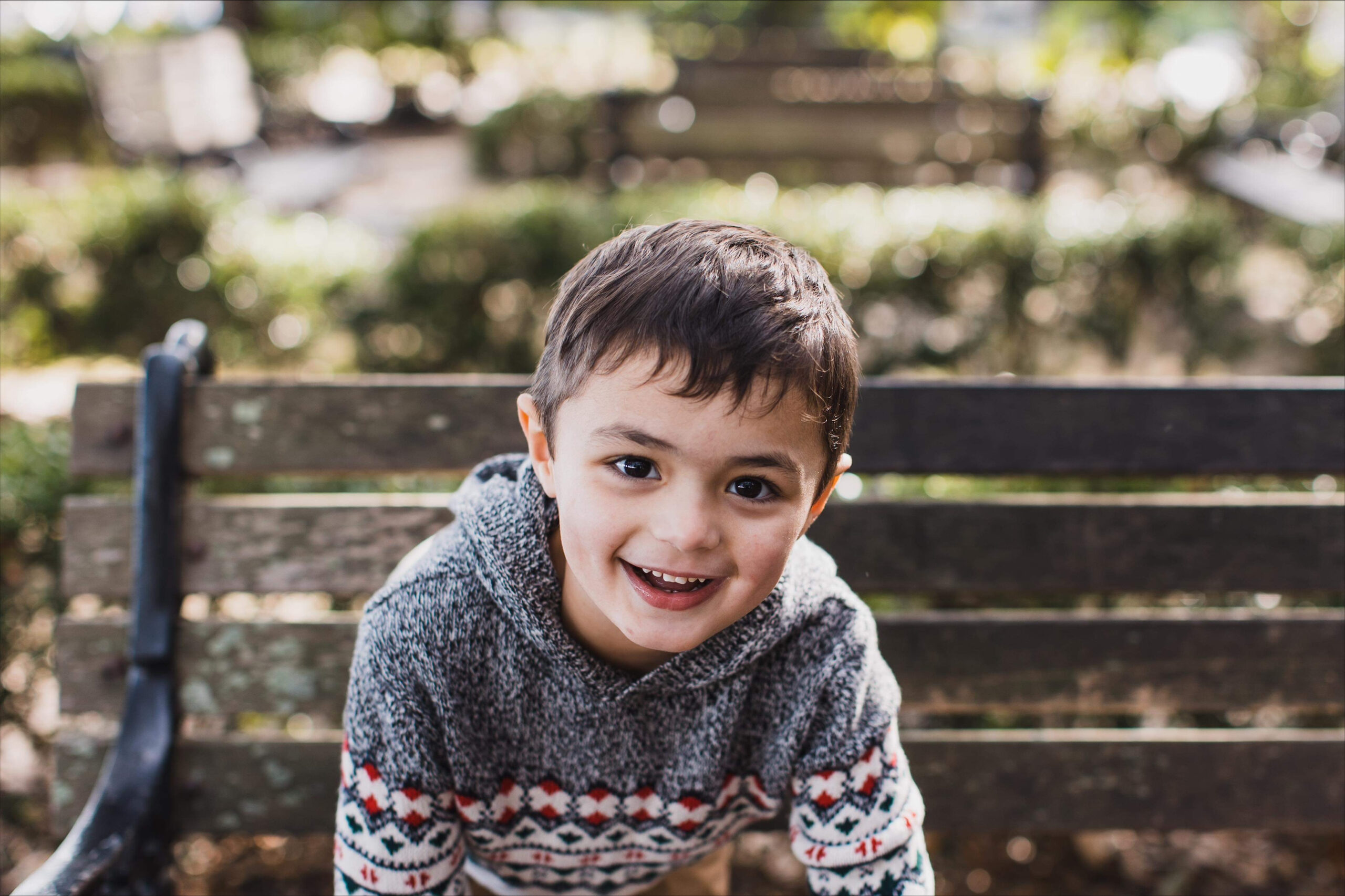Fundraisers To Help Local Family Cover Costs Of Seizure Dog News